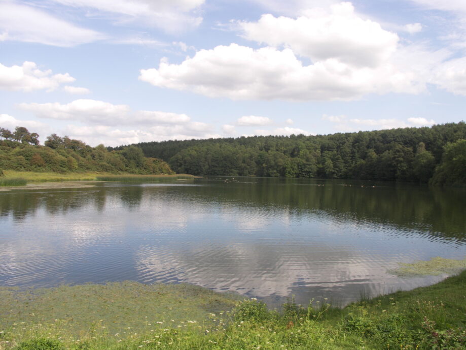 An Overview of the Foss’s history | The River Foss Society