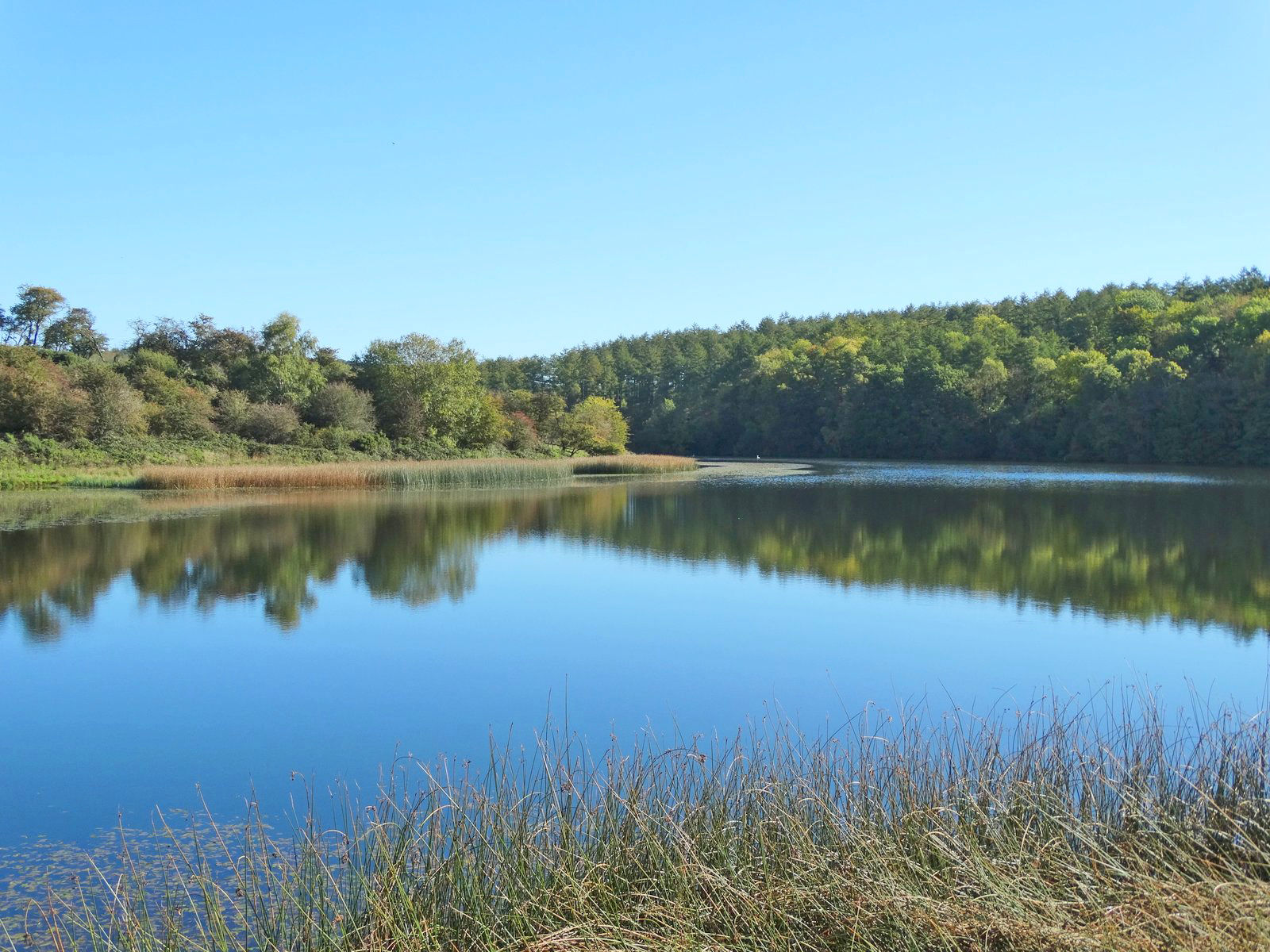 Fishing Rights | The River Foss Society